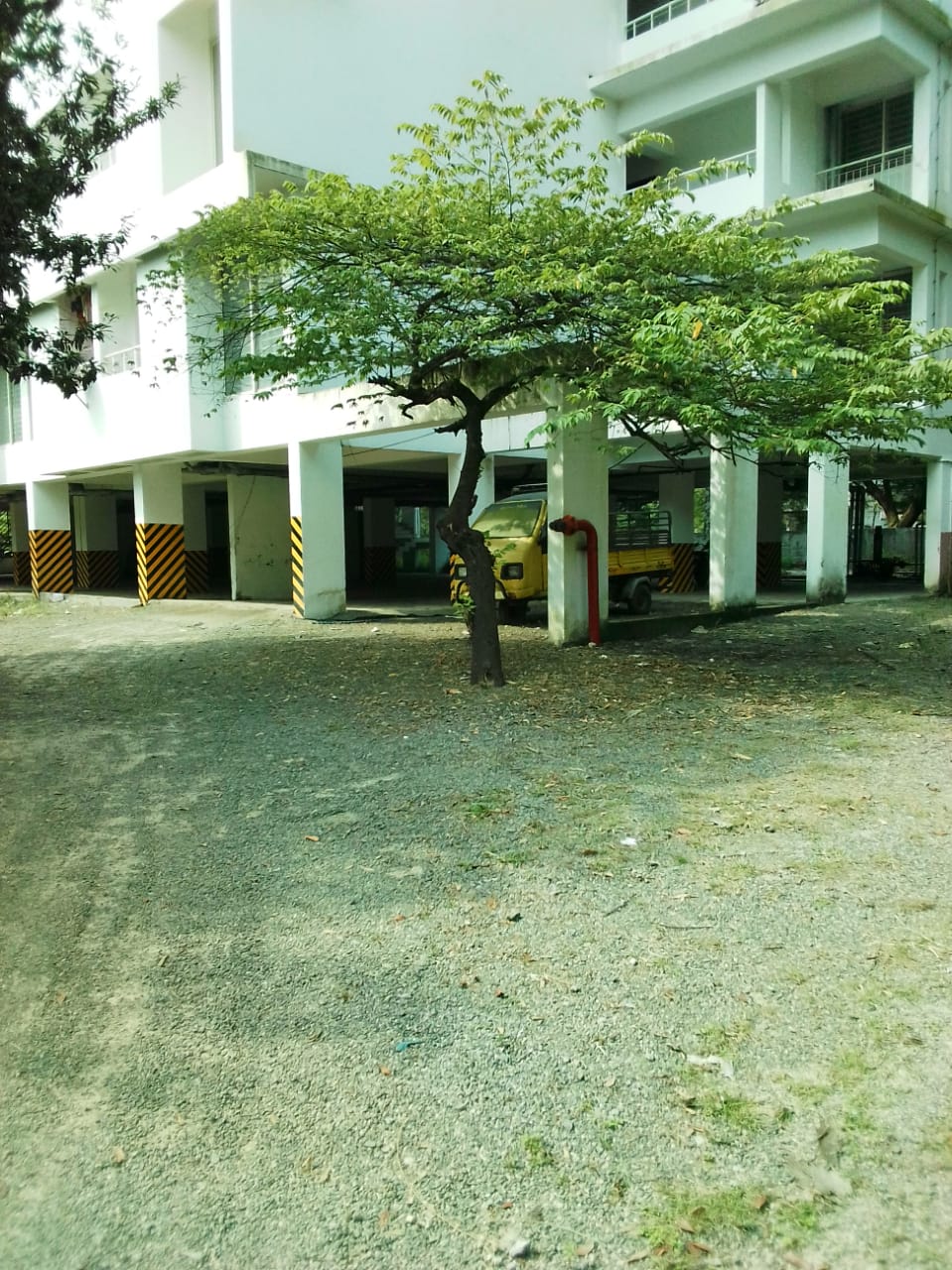 TRR
